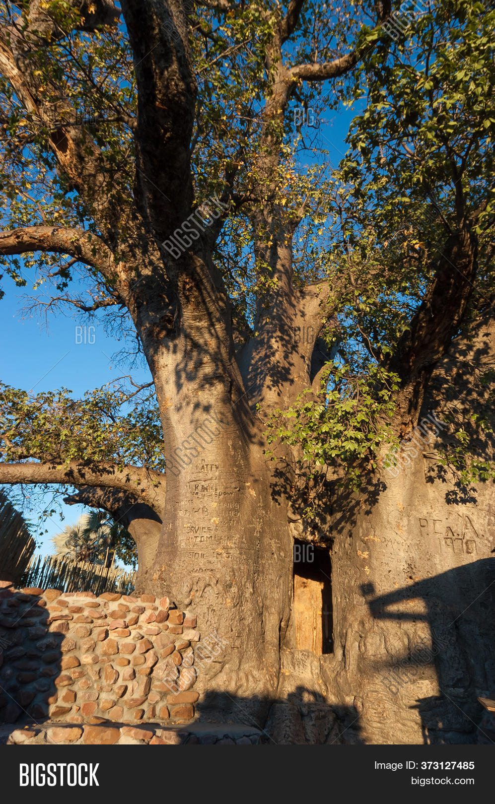 Outapi, Namibia - May Image & Photo (Free Trial) | Bigstock