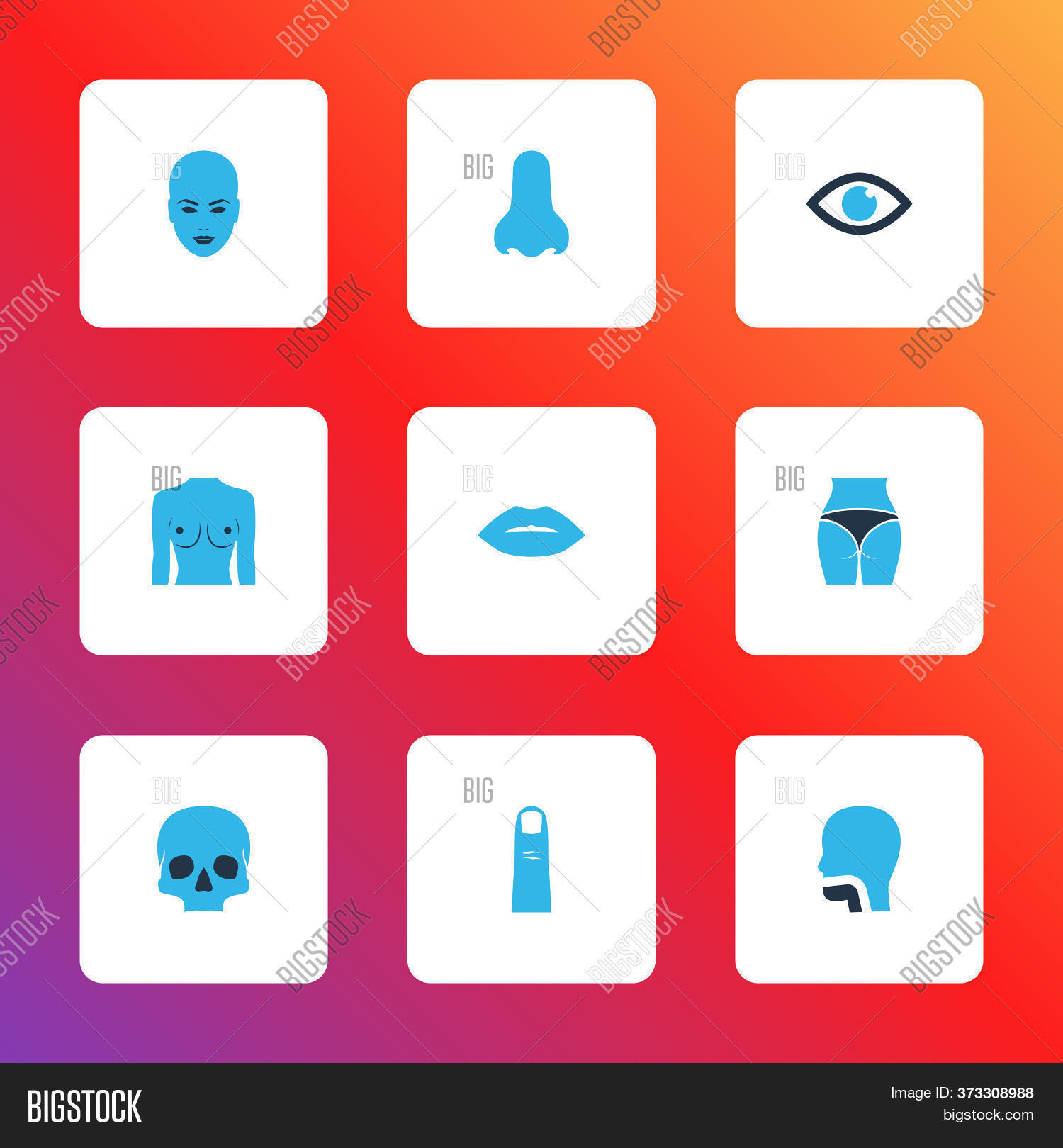 Body Icons Colored Set Image & Photo (Free Trial) | Bigstock