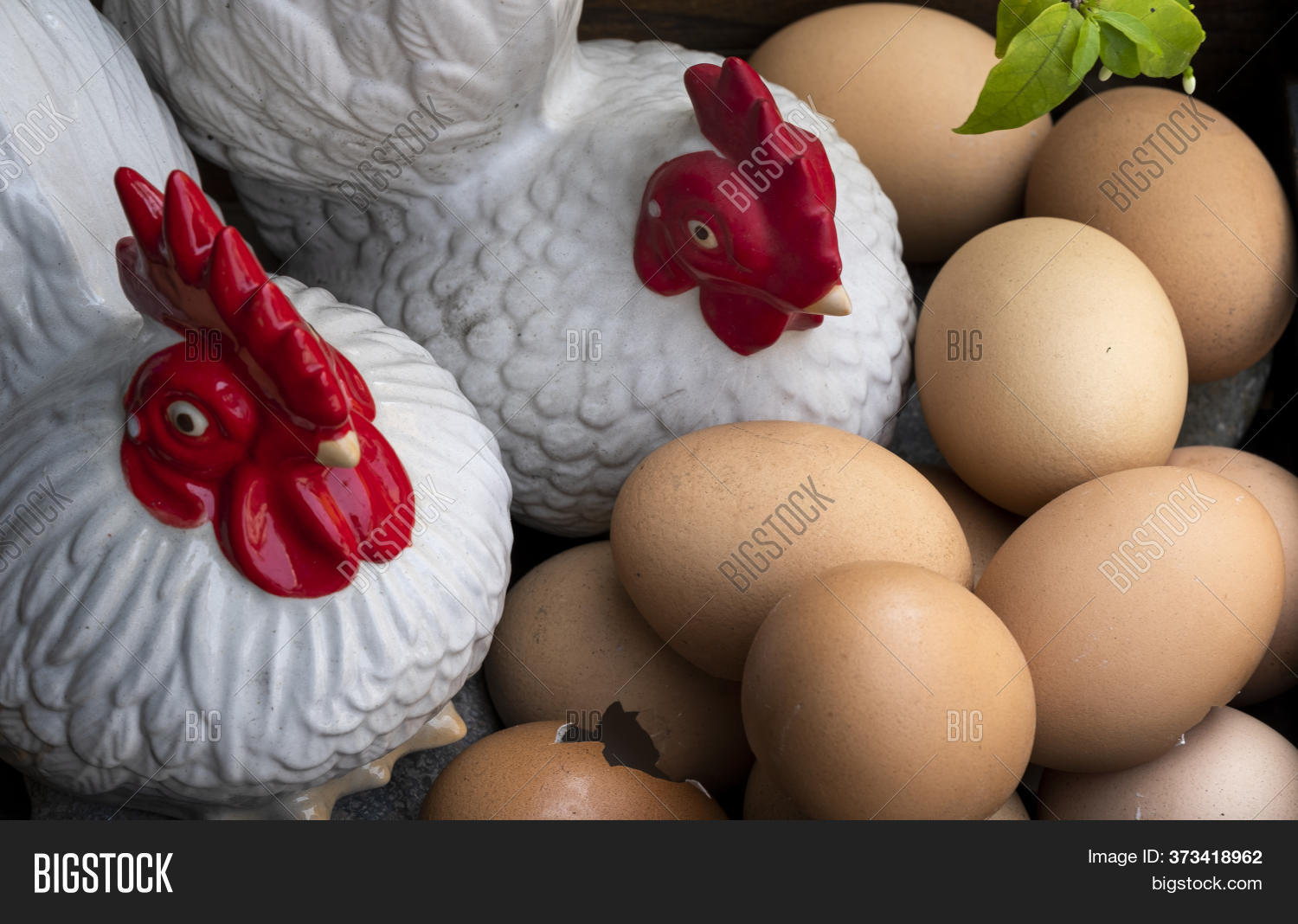 Two White Ceramic Hens Image & Photo (Free Trial) | Bigstock