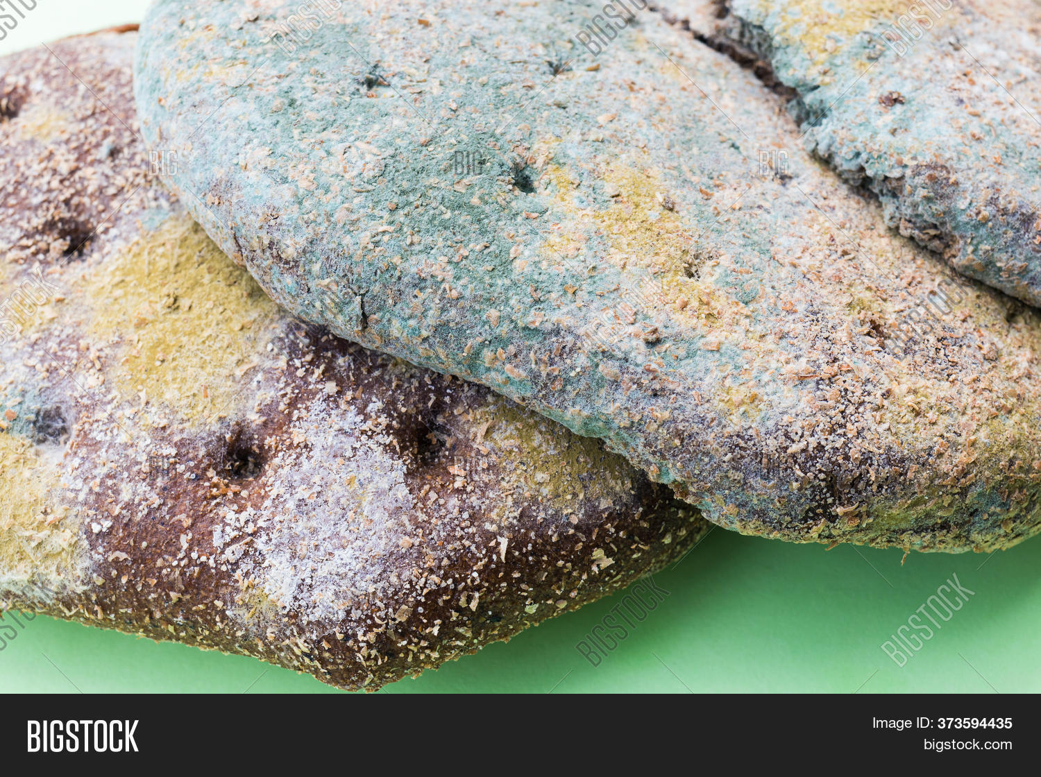 Moldy, Spoiled Bread Image & Photo (Free Trial) | Bigstock