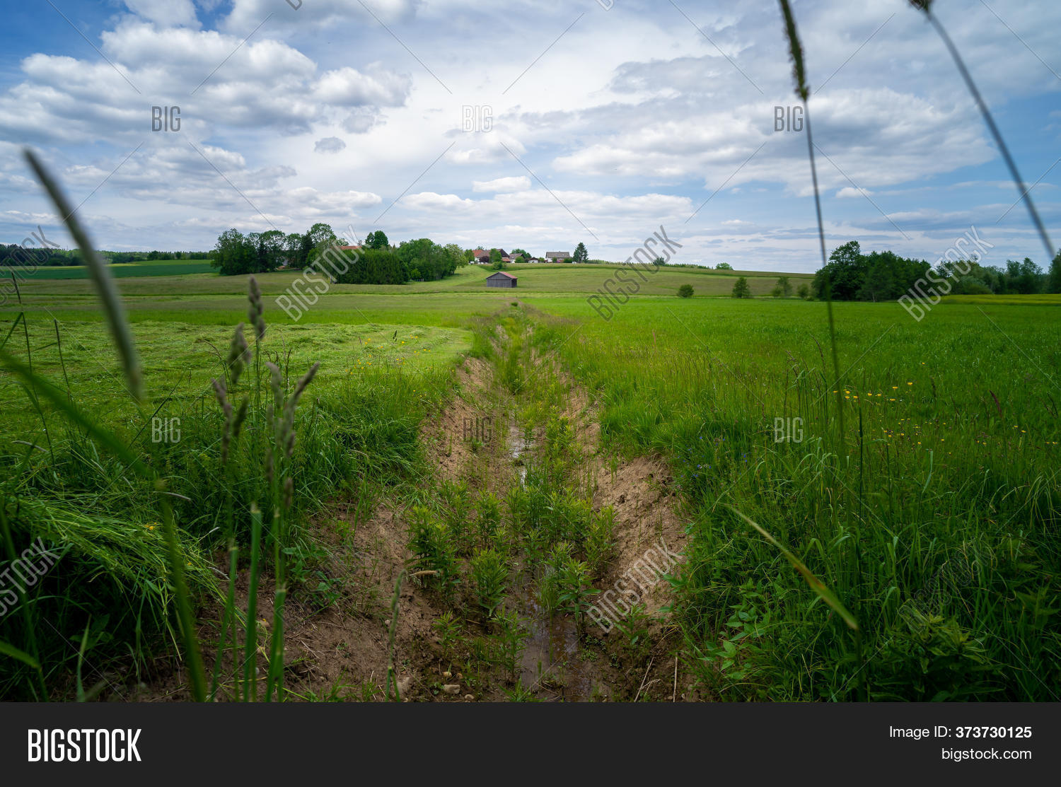 Natural Path Out Grass Image & Photo (Free Trial) | Bigstock
