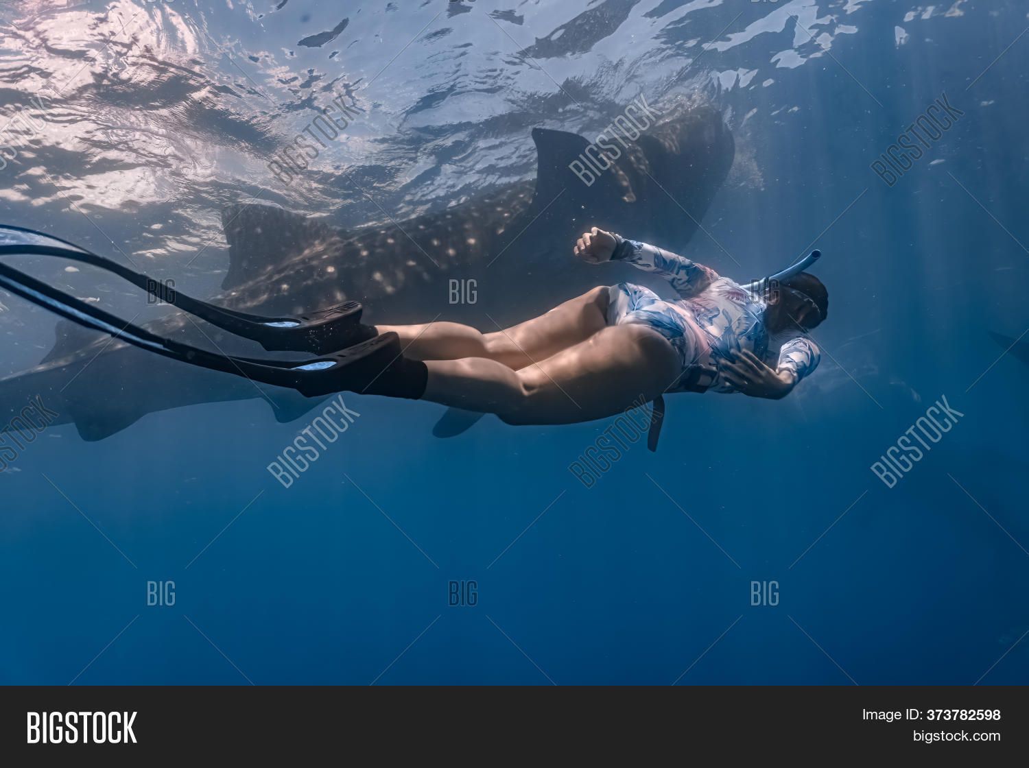 Sexy Underwater Scuba Diving 8196