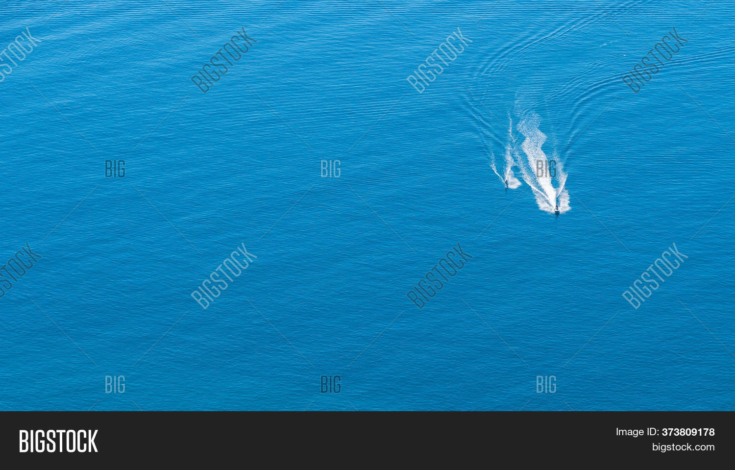 Back View On Image & Photo (Free Trial) | Bigstock
