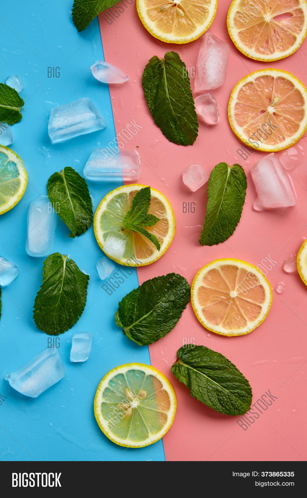 Composition Cut Citrus Image & Photo (Free Trial) | Bigstock