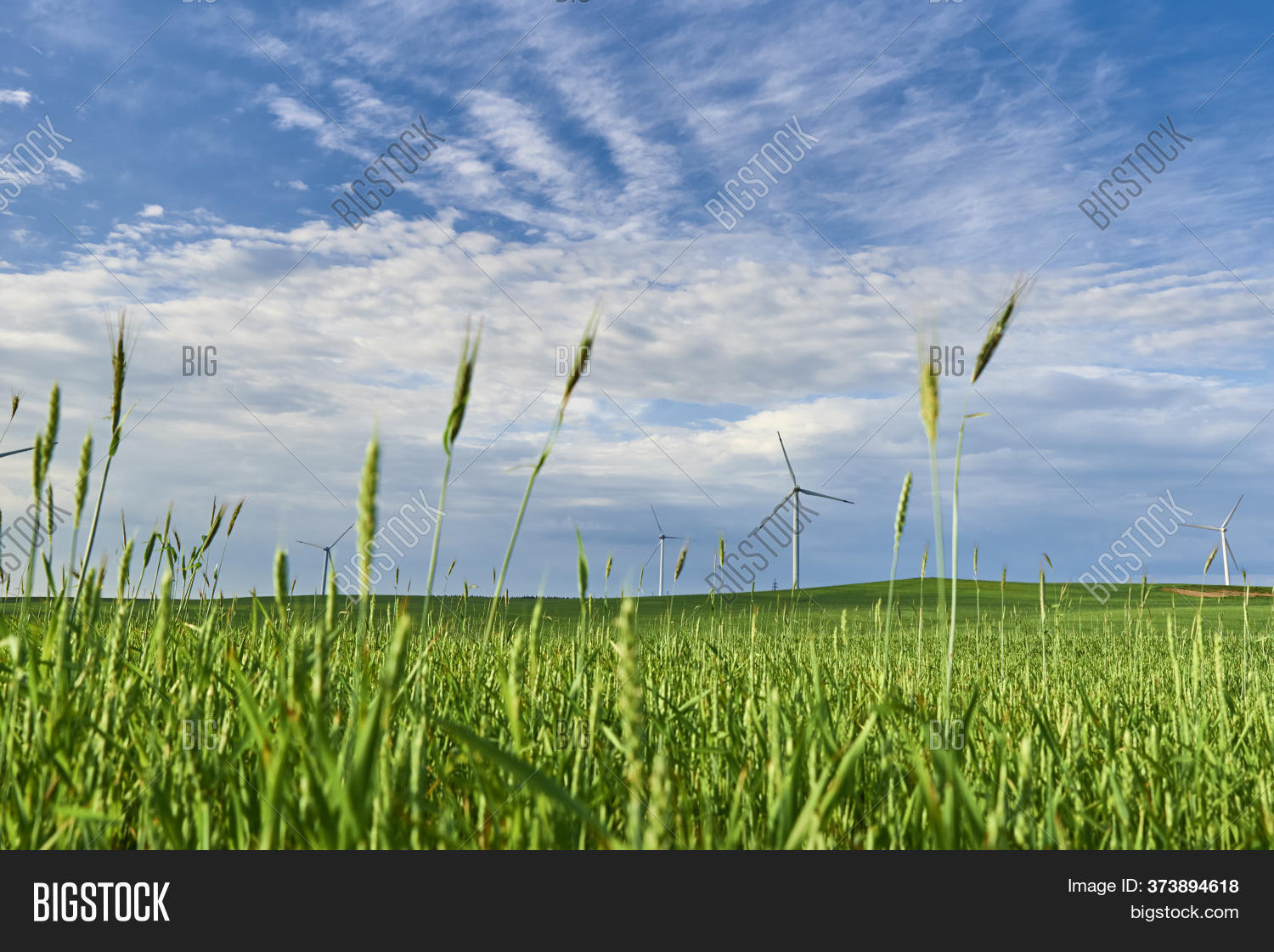 Wind Turbine Field. Image & Photo (Free Trial) | Bigstock