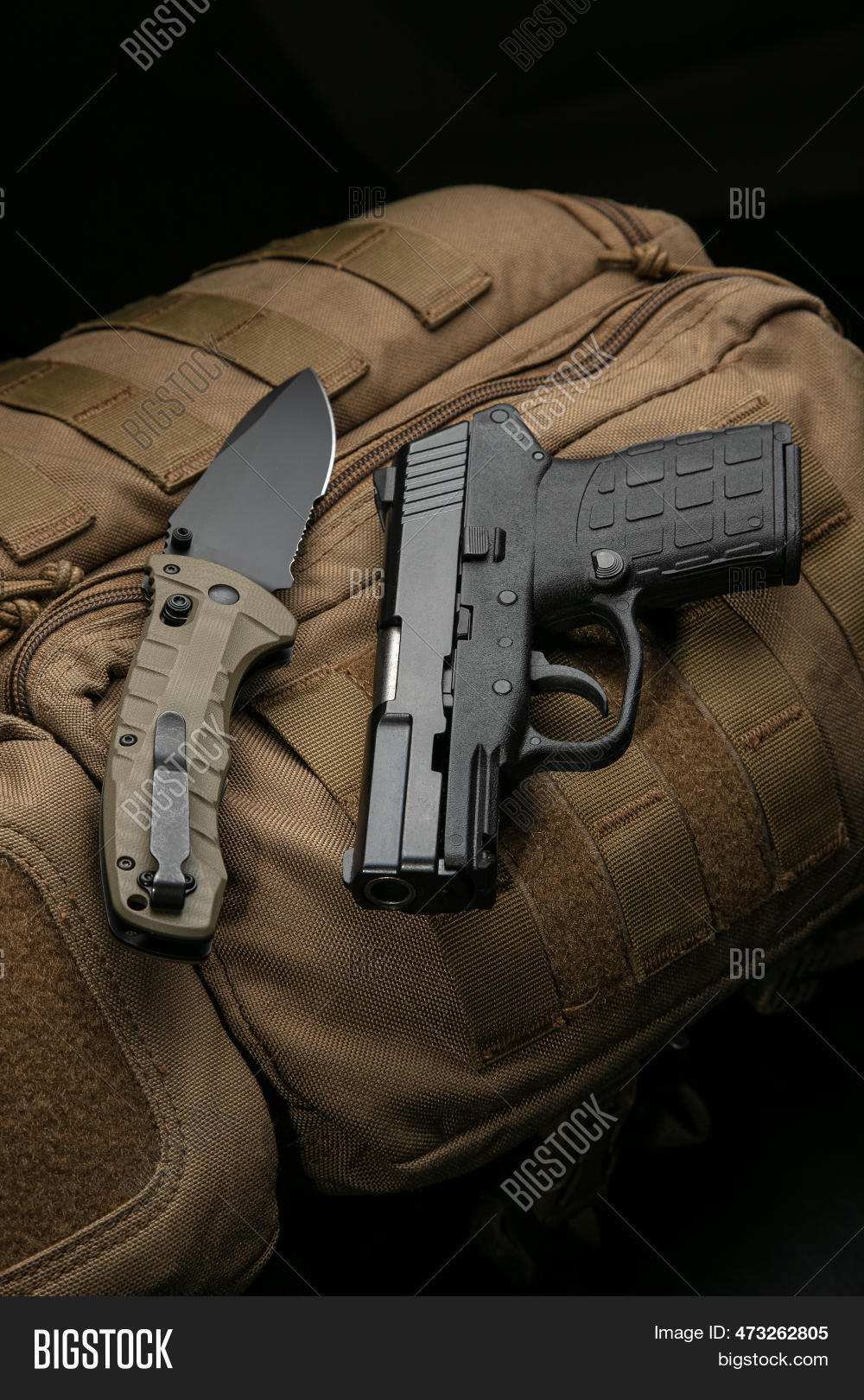 Imagen y foto Small Modern Pistol (prueba gratis) | Bigstock