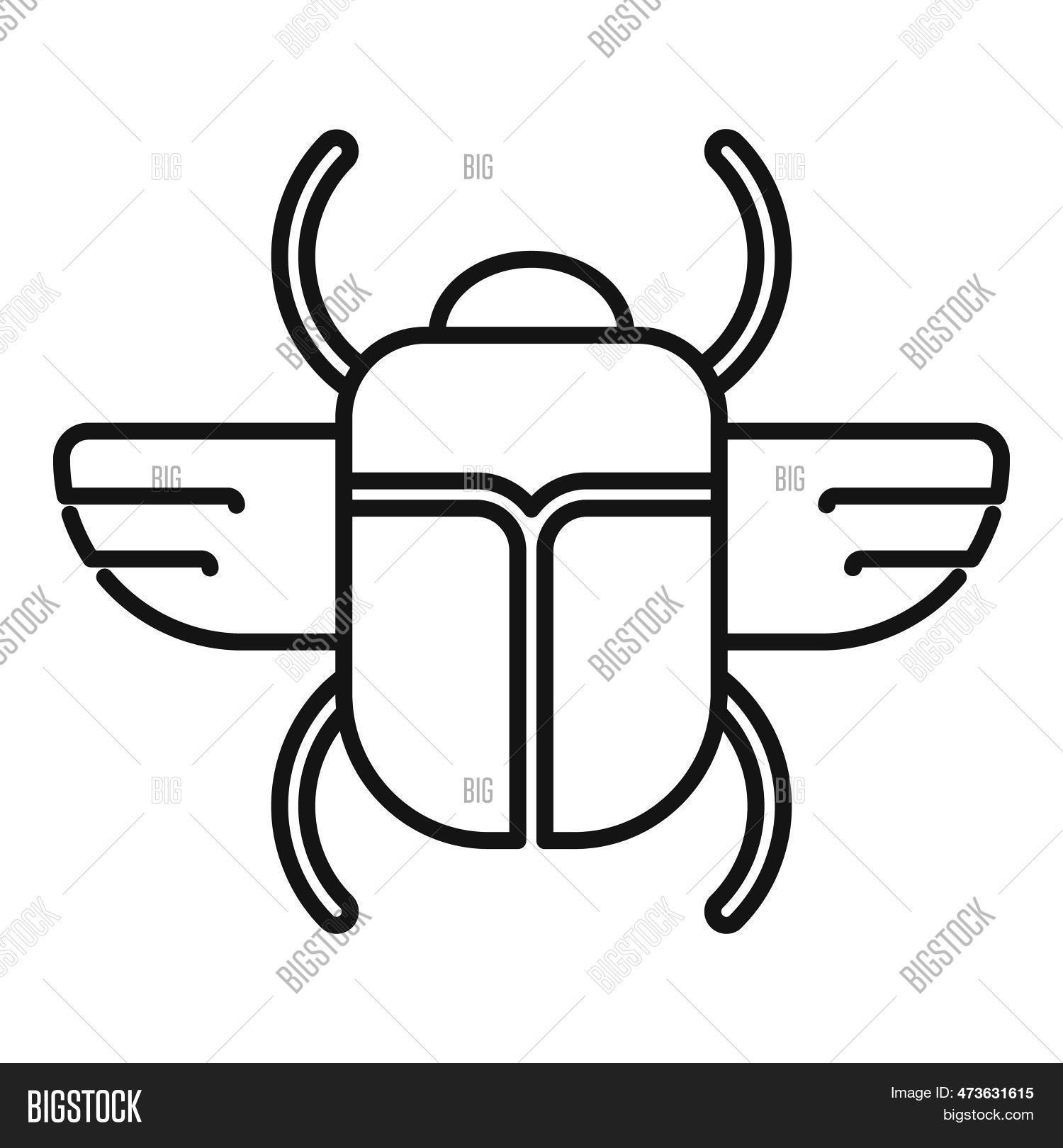 Sun Scarab Beetle Icon Image & Photo (Free Trial) | Bigstock