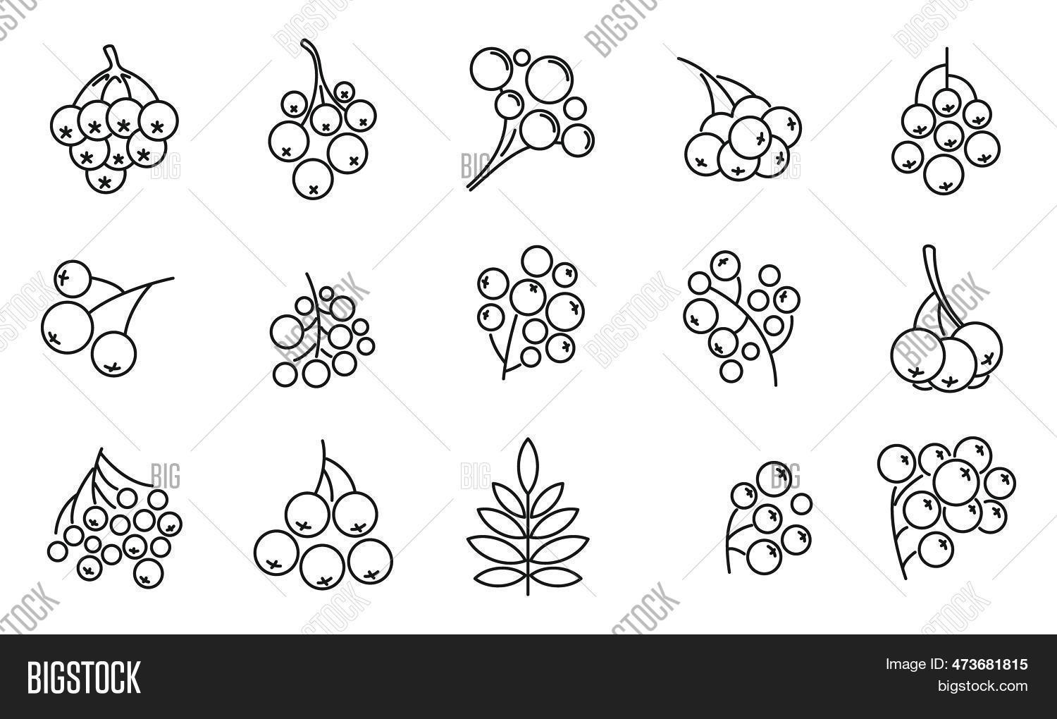 Rowan Park Icons Set. Image & Photo (Free Trial) | Bigstock