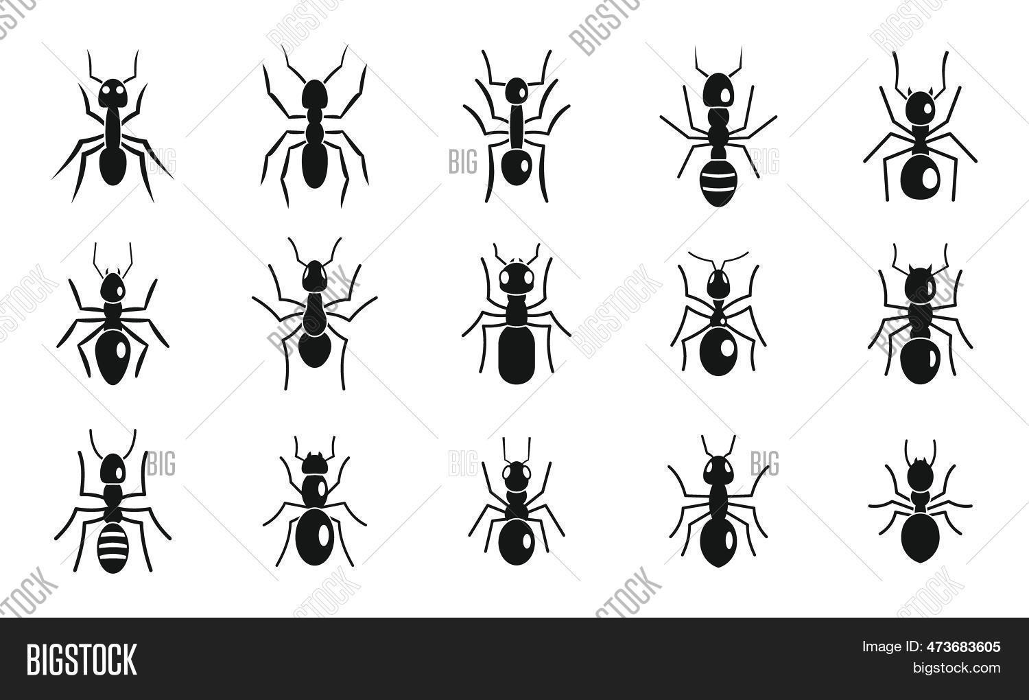 Cute Ant Icons Set. Image & Photo (Free Trial) | Bigstock