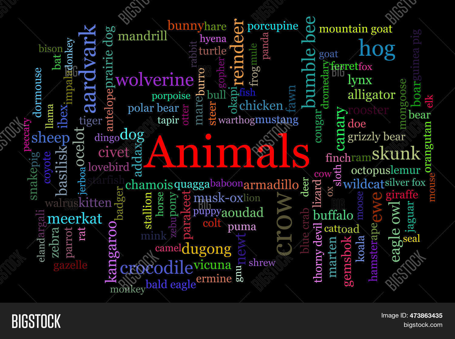Cluster Some Animal Image & Photo (Free Trial) | Bigstock