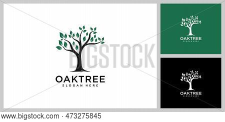 Oak Tree Logo Vector Vector & Photo (Free Trial) | Bigstock