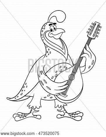Cartoon Quail Vector & Photo (Free Trial) | Bigstock