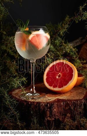 Gin Tonic Cocktail Image & Photo (Free Trial) | Bigstock