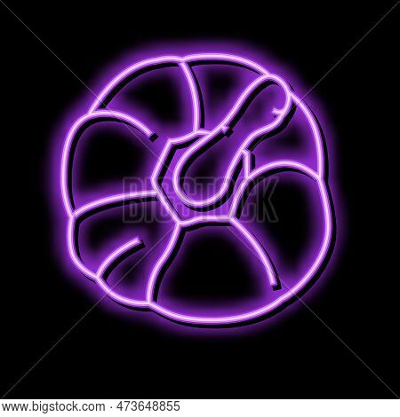 Red Pepper Ingredient Vector & Photo (Free Trial) | Bigstock