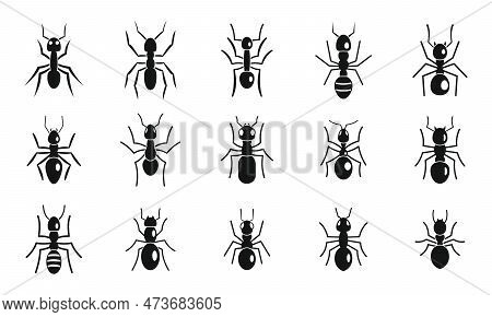 Cute Ant Icons Set. Image & Photo (Free Trial) | Bigstock