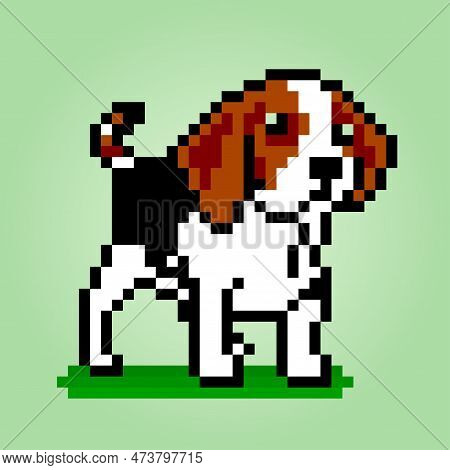 8 Bits Pixel Beagle Vector & Photo (Free Trial) | Bigstock