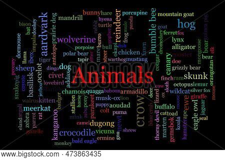 Cluster Some Animal Image & Photo (Free Trial) | Bigstock