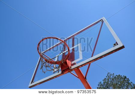 Basketball Hoop Tree Image & Photo (Free Trial) | Bigstock