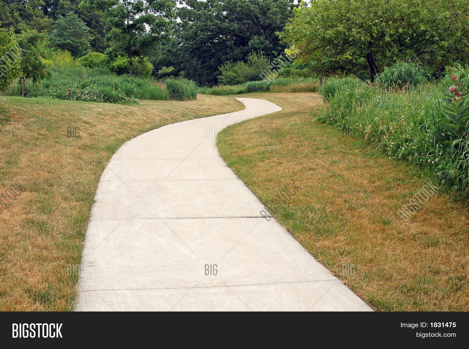 Curve Sidewalk Image & Photo (Free Trial) | Bigstock