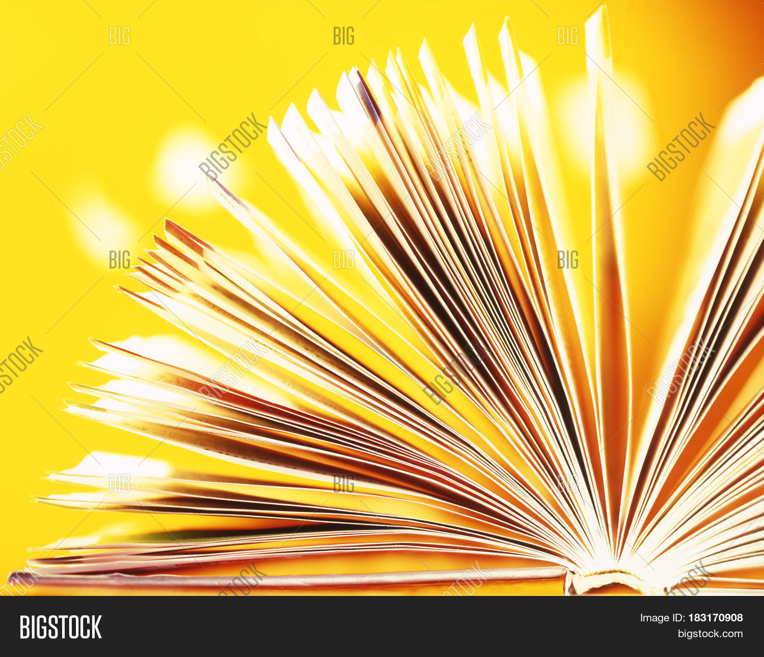 Opened Book Isolated Image & Photo (Free Trial) | Bigstock