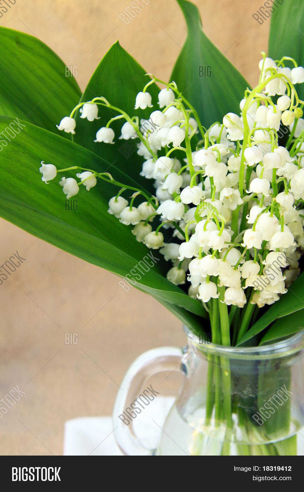 Lovely Bunch Lily Image & Photo (Free Trial) | Bigstock