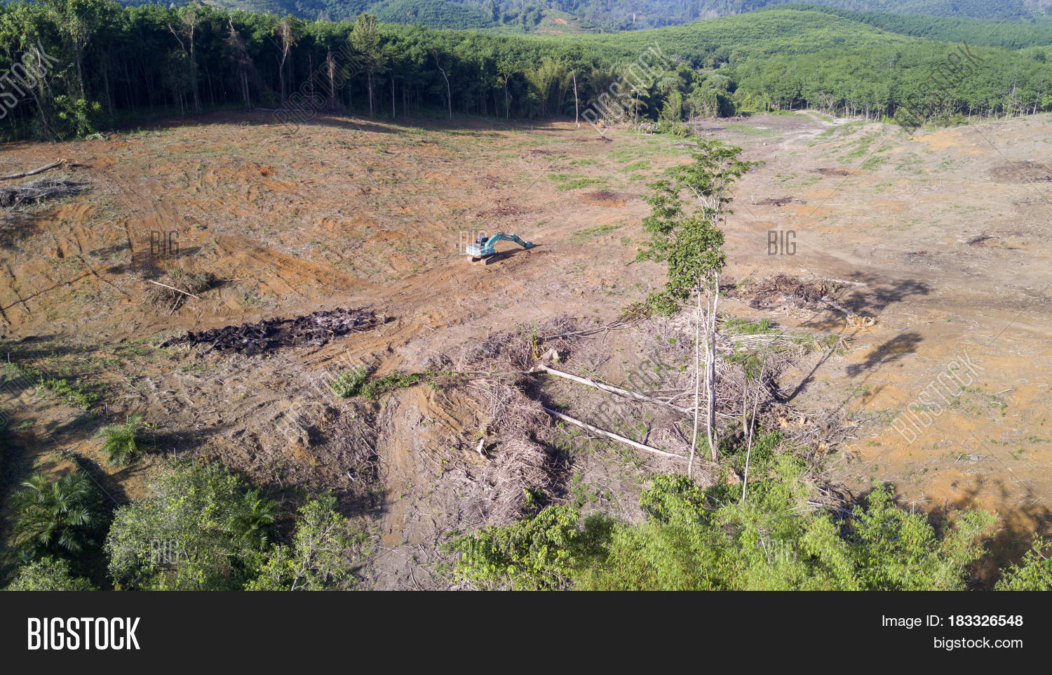 Deforestation. Aerial Image & Photo (Free Trial) | Bigstock
