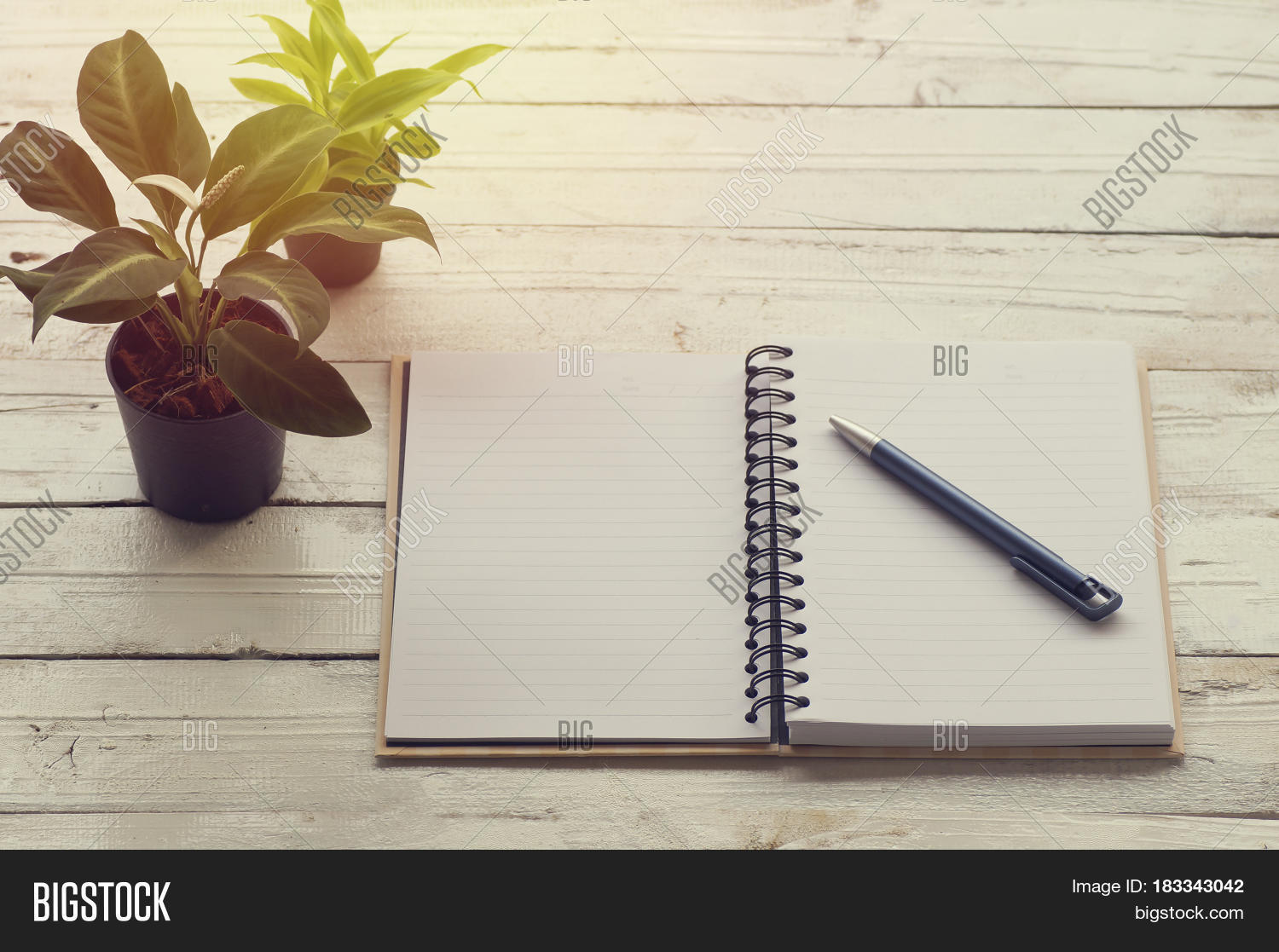 Open Book Lined Paper Image & Photo (Free Trial) | Bigstock
