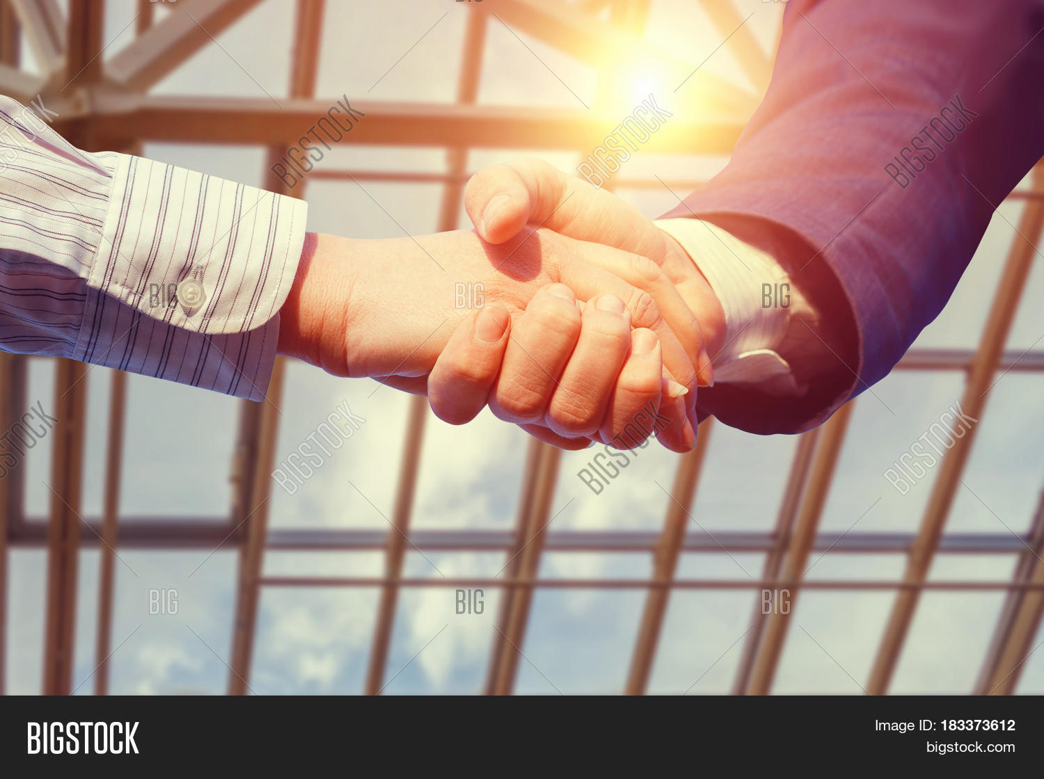 Business Handshake Image & Photo (Free Trial) | Bigstock