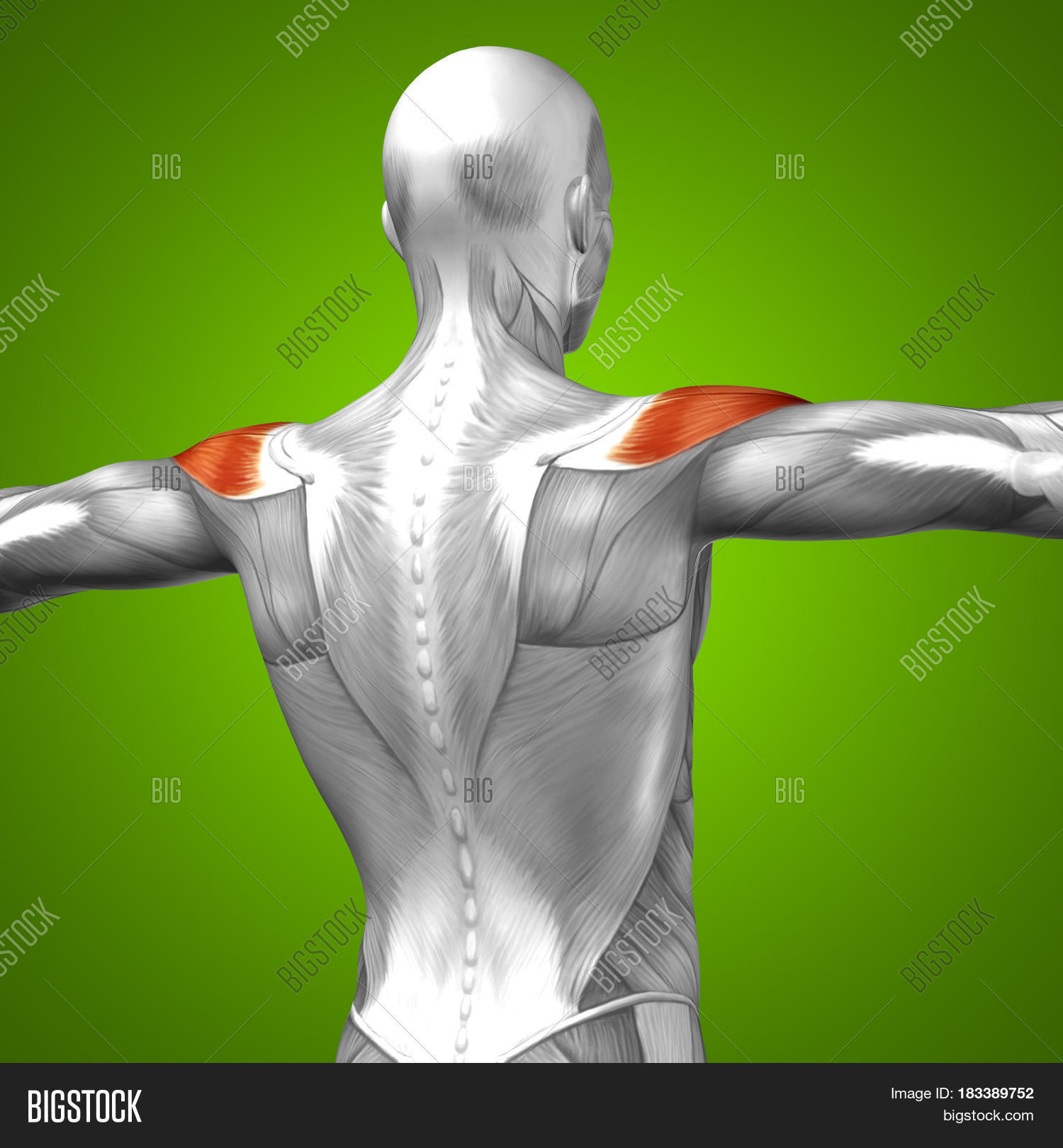 Concept Conceptual 3D Image & Photo (Free Trial) | Bigstock