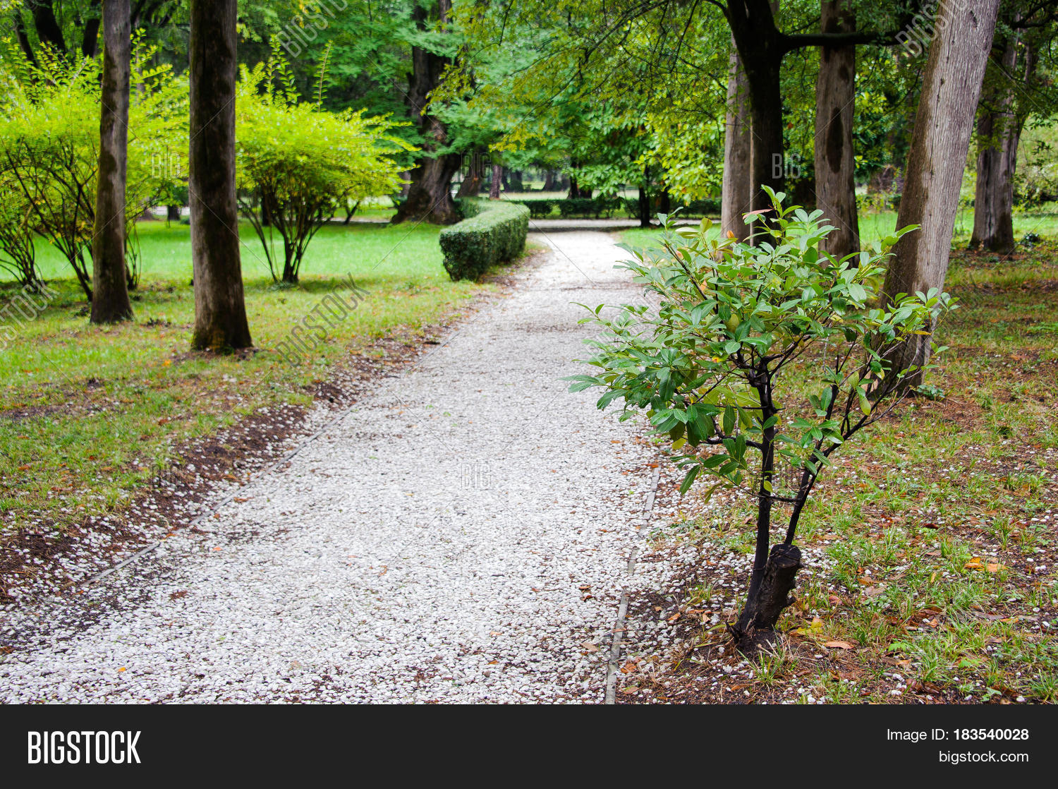 Path White Gravel Park Image & Photo (Free Trial) | Bigstock