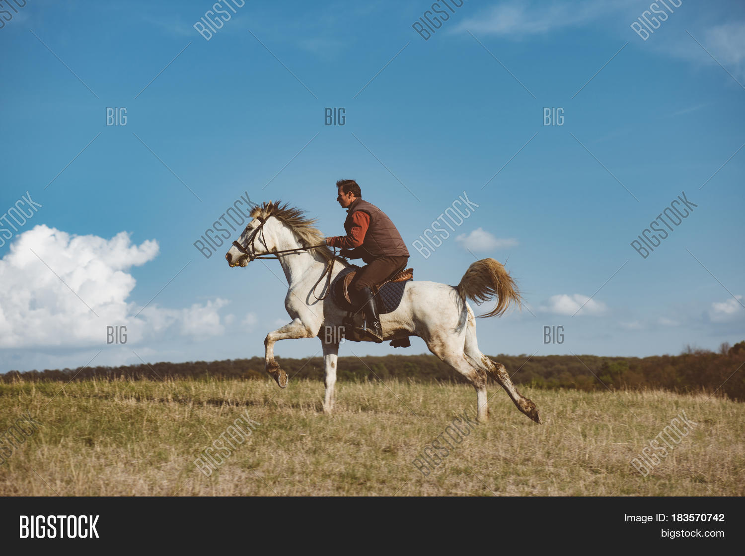 Galopping Horse, Man Image & Photo (Free Trial) | Bigstock