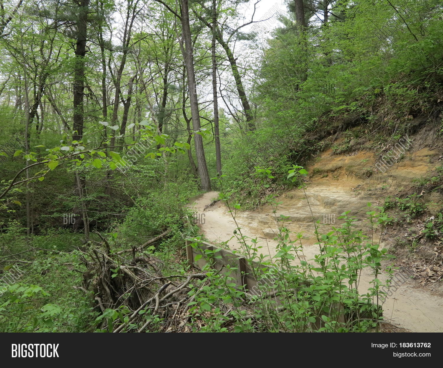 Springs Groundwater Image & Photo (Free Trial) | Bigstock