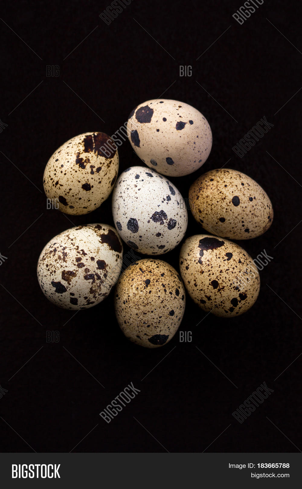Quail Eggs Texture. Image & Photo (Free Trial) | Bigstock