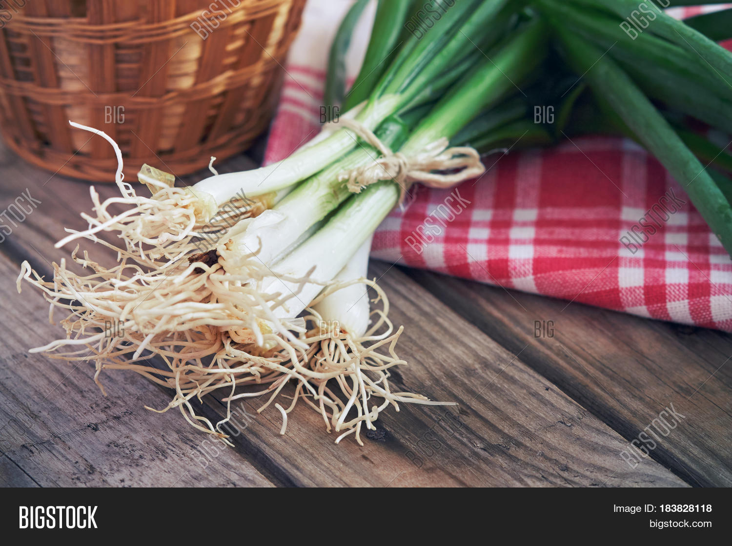 Fresh Scallion Root Image & Photo (Free Trial) | Bigstock