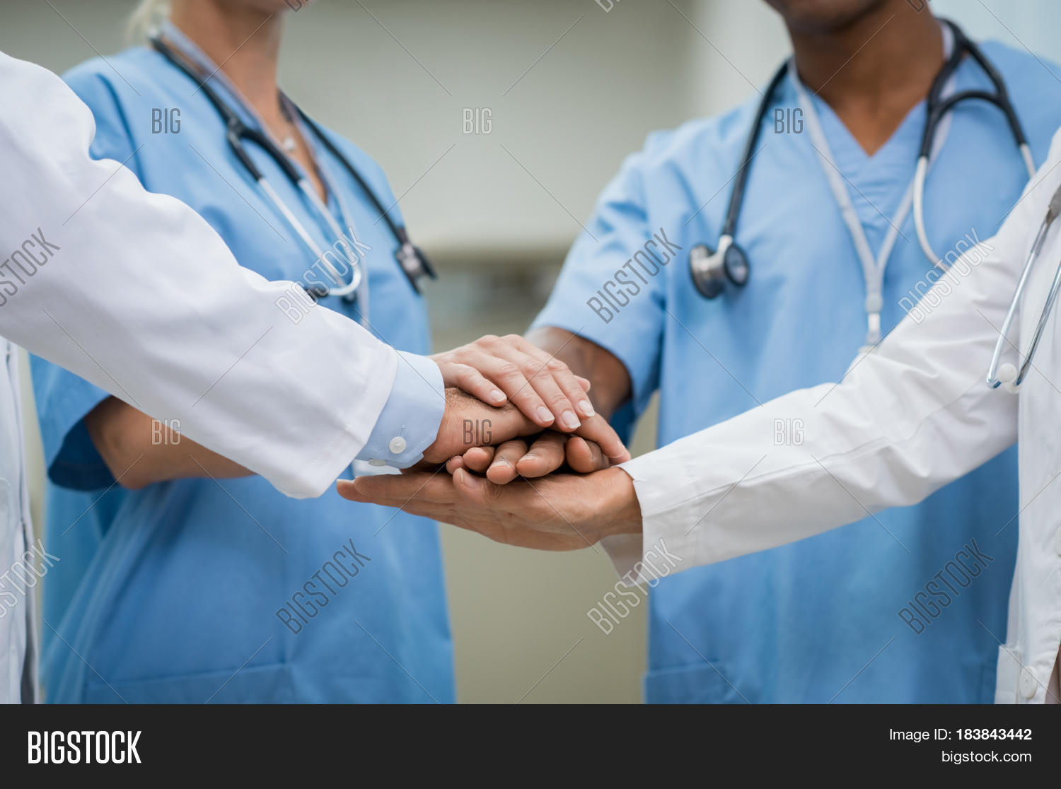 Image et photo de Mature Doctors (essai gratuit) | Bigstock