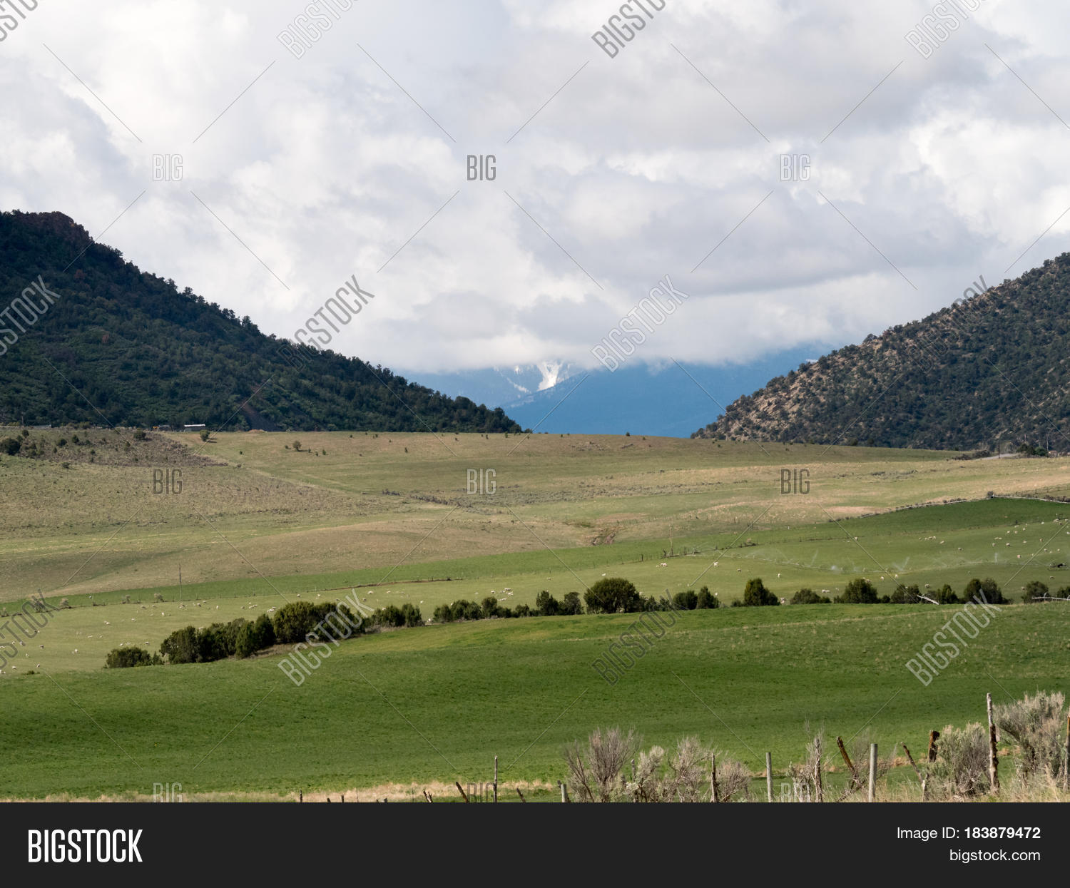 Pastoral Scene Image & Photo (Free Trial) | Bigstock