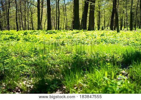 Sunny Day Outdoor Image & Photo (Free Trial) | Bigstock