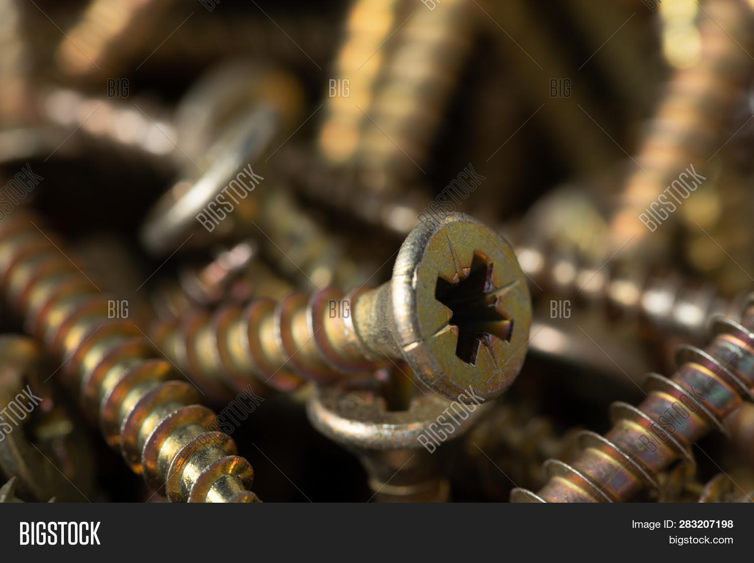 Macro Photo Screws. Image & Photo (Free Trial) | Bigstock