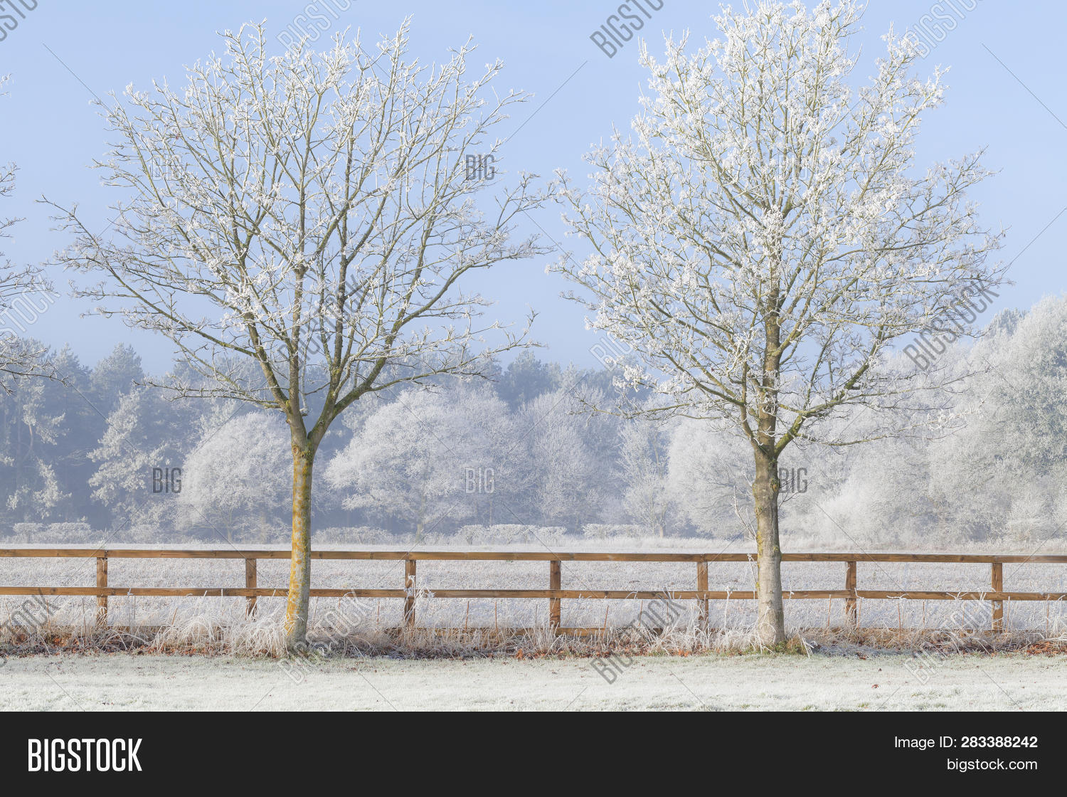 Beautiful Rural Winter Image & Photo (Free Trial) | Bigstock