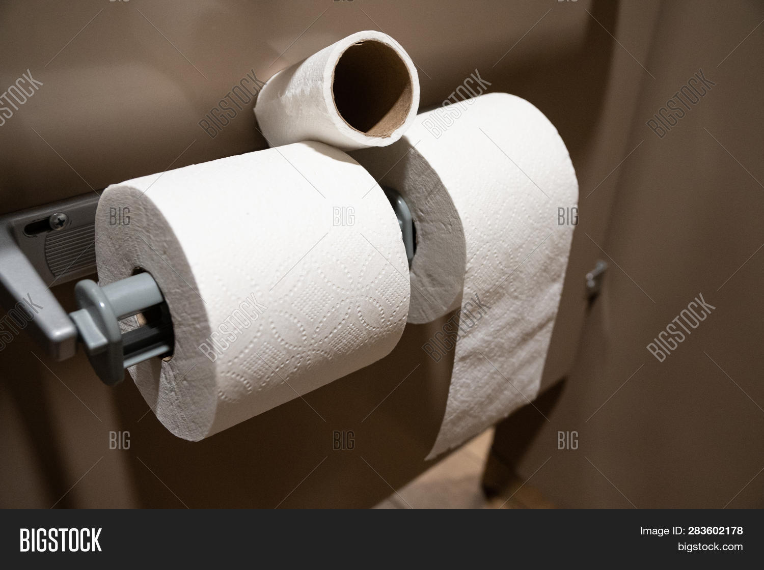 Toliet Paper Rolls Image & Photo (Free Trial) | Bigstock