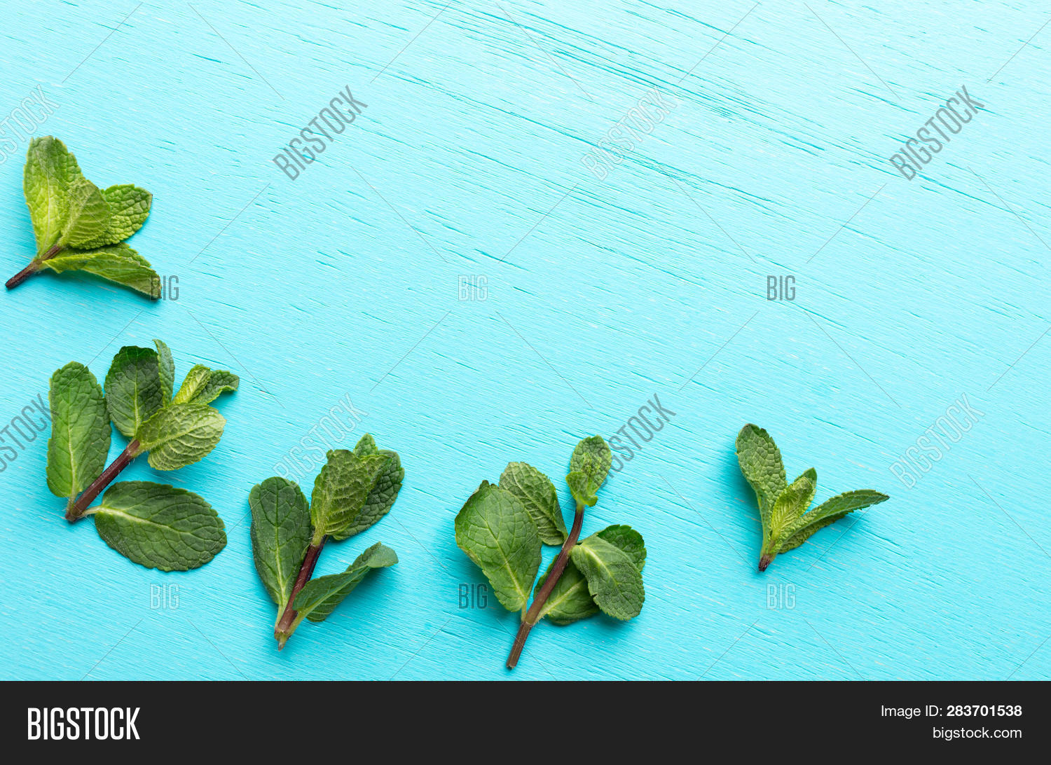 Five Green Mint Sprigs Image & Photo (Free Trial) | Bigstock