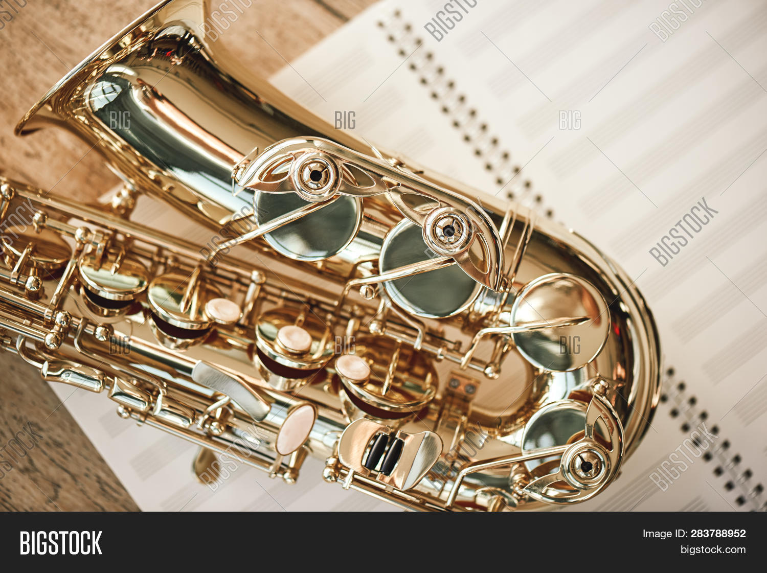 Joy Sax. Top View Image & Photo (Free Trial) | Bigstock