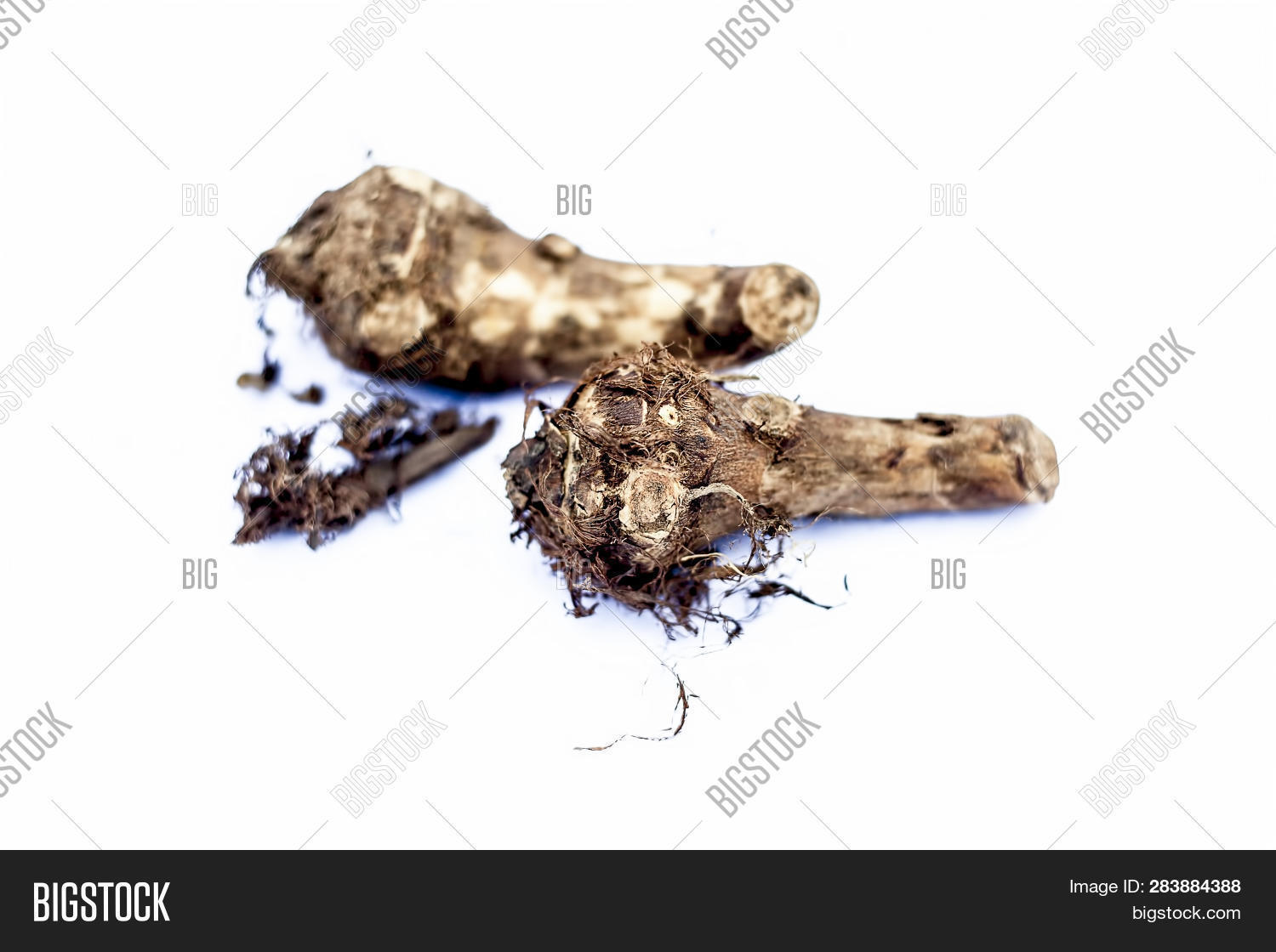 Close Rare Vegetable . Image & Photo (Free Trial) | Bigstock