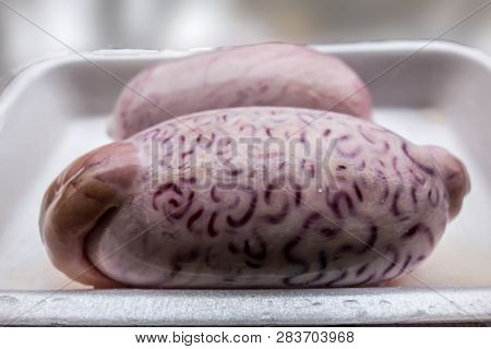 Pair Bull Testicles On Image & Photo (Free Trial) | Bigstock