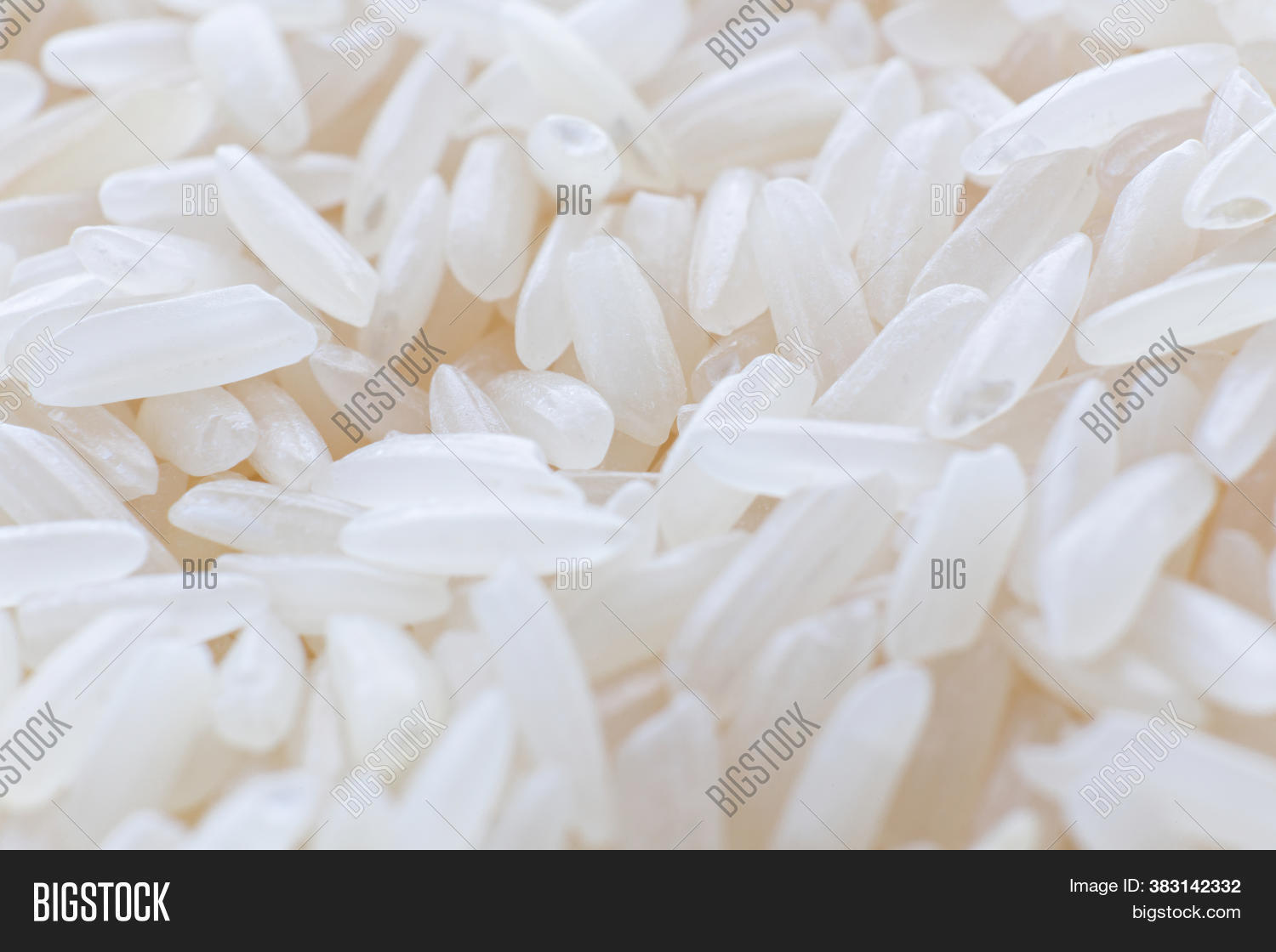 Close Rice Grain. Image & Photo (Free Trial) | Bigstock