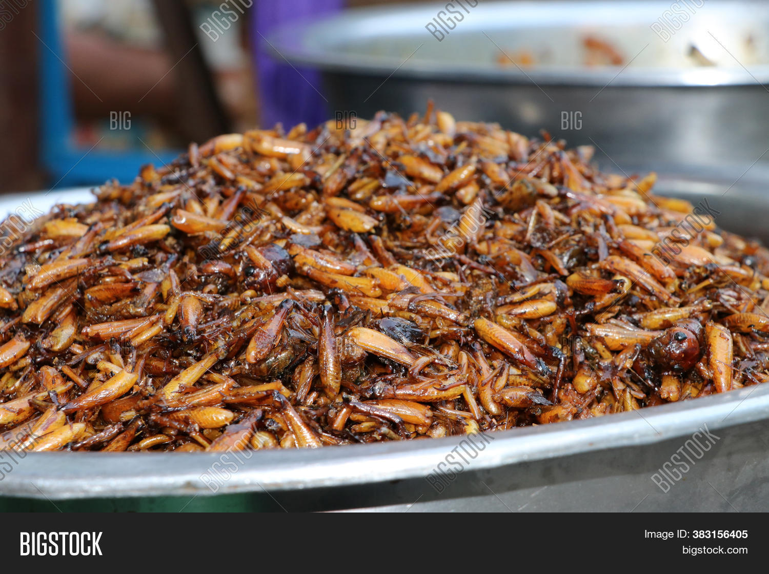 Many Fried Insects Big Image & Photo (Free Trial) | Bigstock