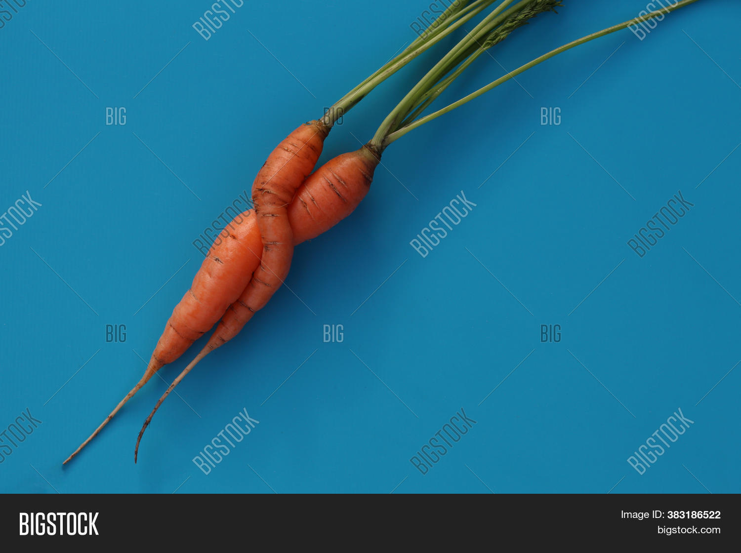 Two Ugly Carrots Image & Photo (Free Trial) | Bigstock