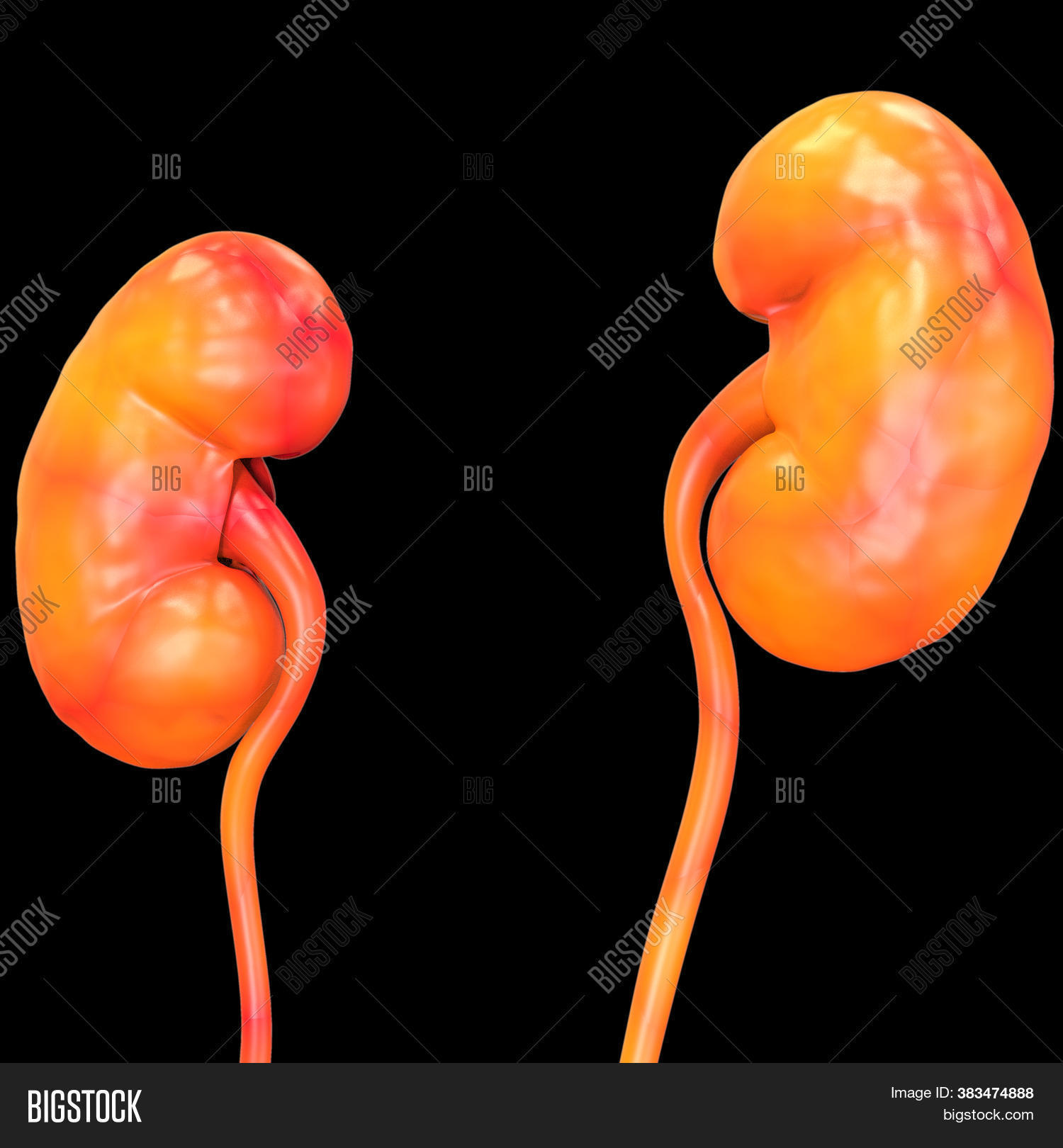 3d Illustration Image & Photo (Free Trial) | Bigstock