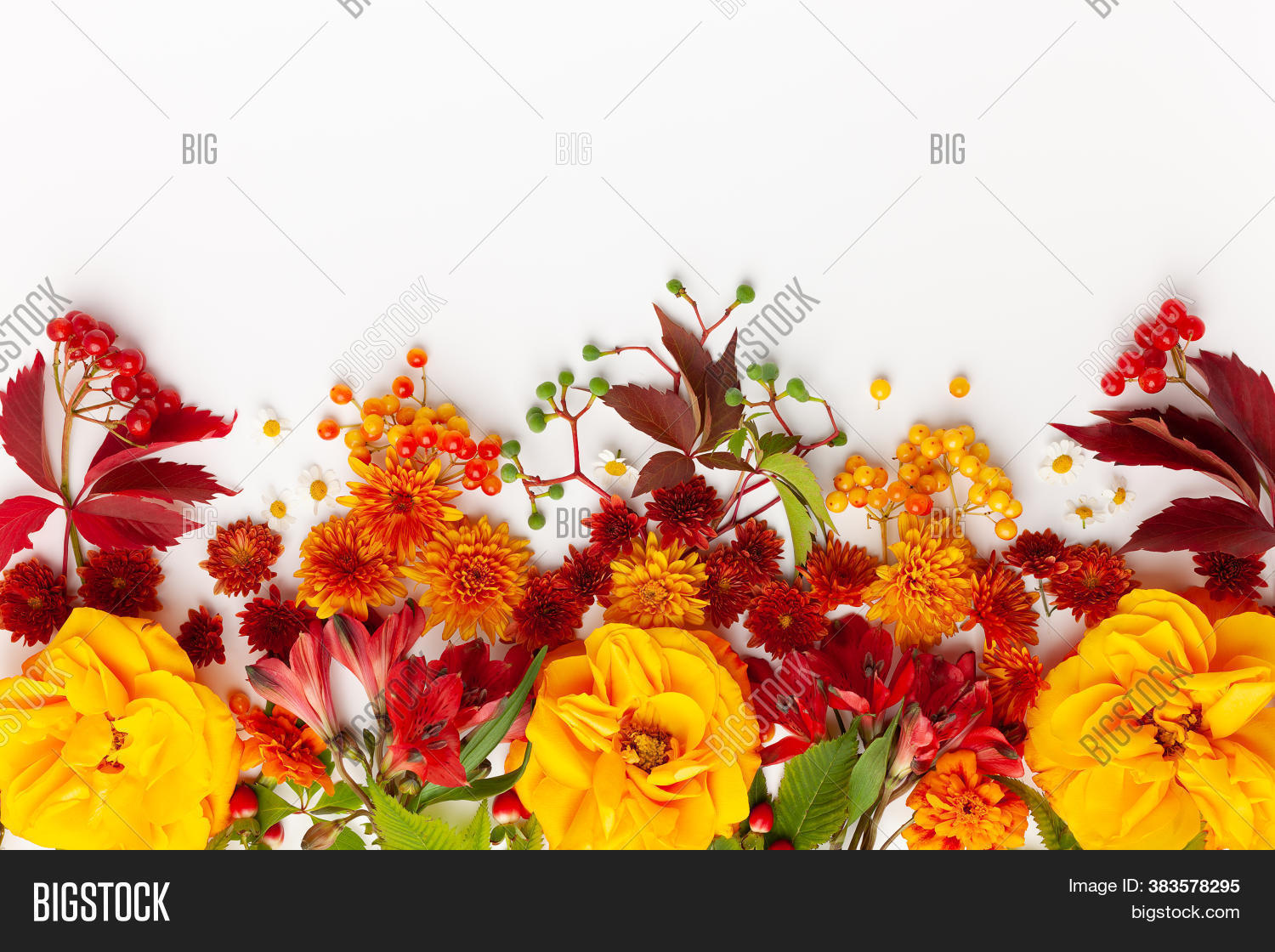 Autumn Composition Image & Photo (Free Trial) | Bigstock
