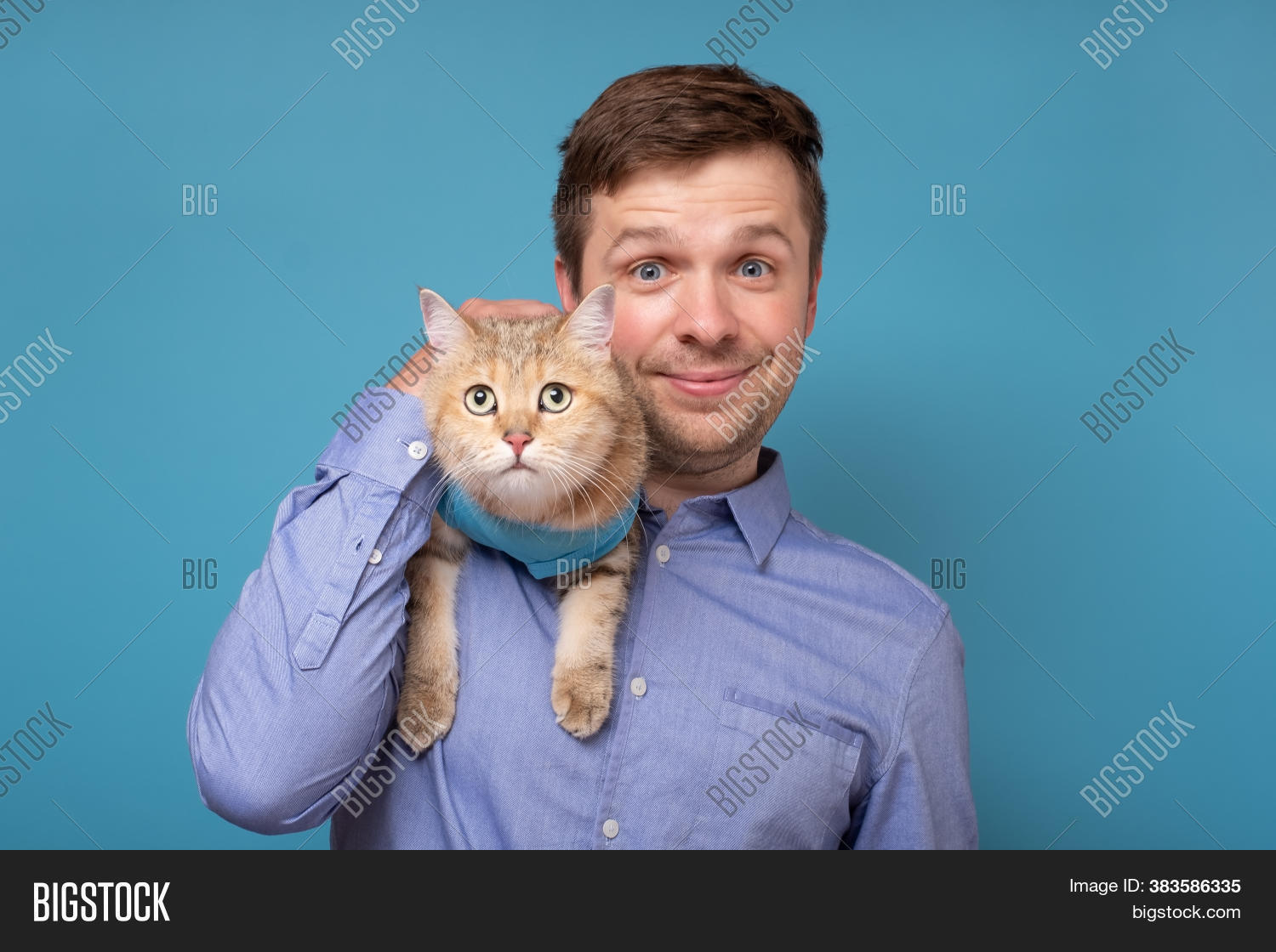 Man Orange Tabby Cat Image & Photo (Free Trial) | Bigstock
